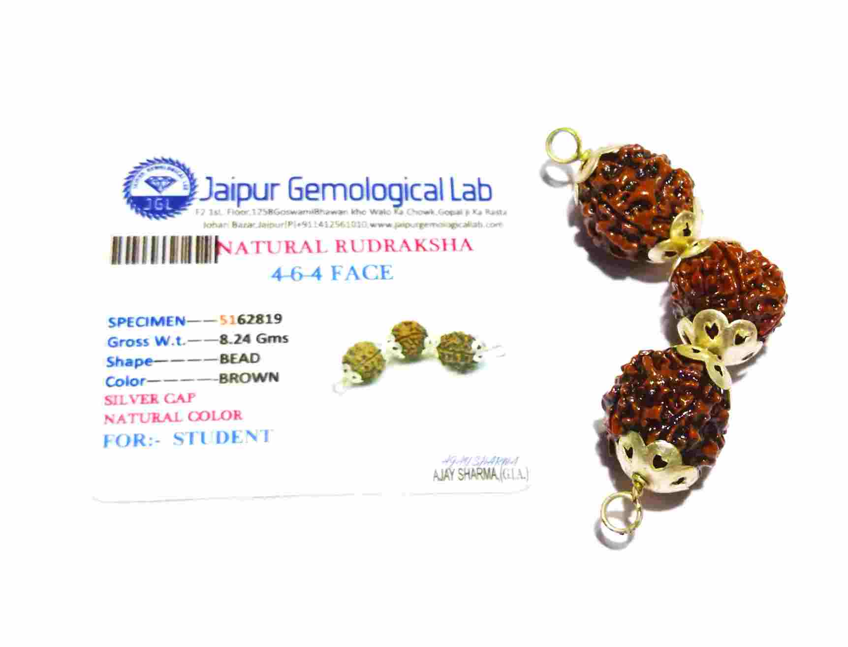 Certified Student Rudraksha 4-6-4 Mukhi (Face) in Silver Cap – Omjaa