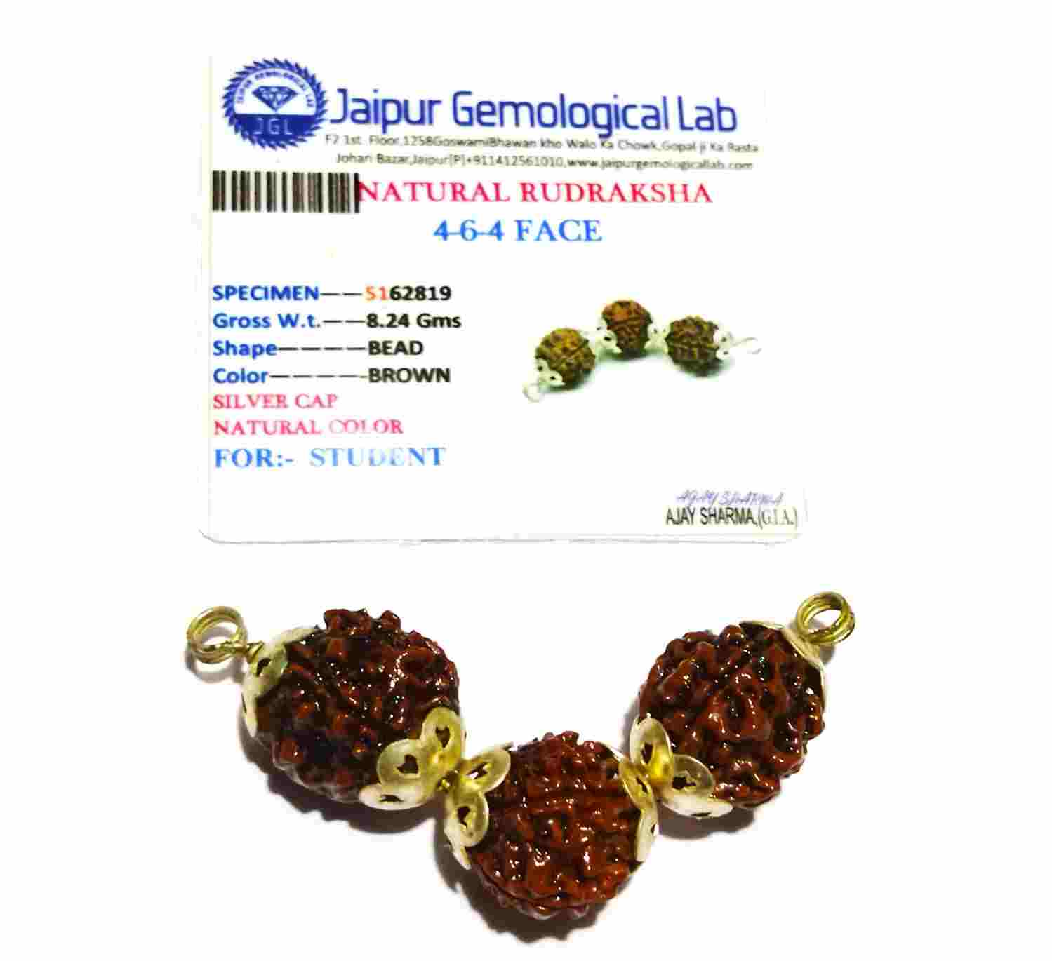 Certified Student Rudraksha 4-6-4 Mukhi (Face) in Silver Cap – Omjaa