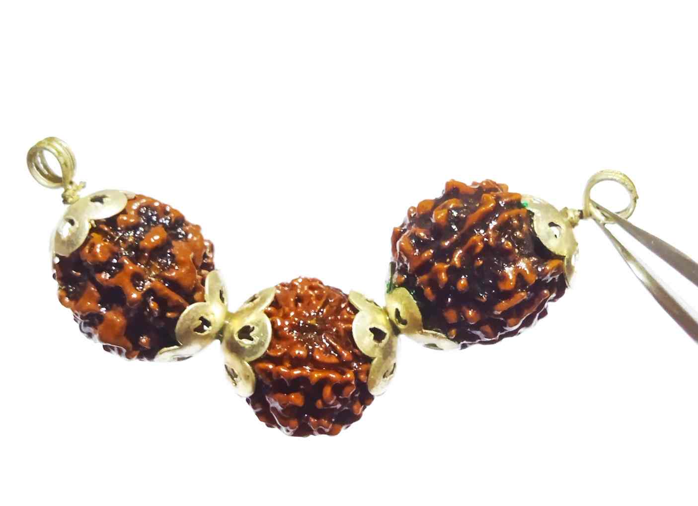 Certified Student Rudraksha 4-6-4 Mukhi (Face) in Silver Cap – Omjaa