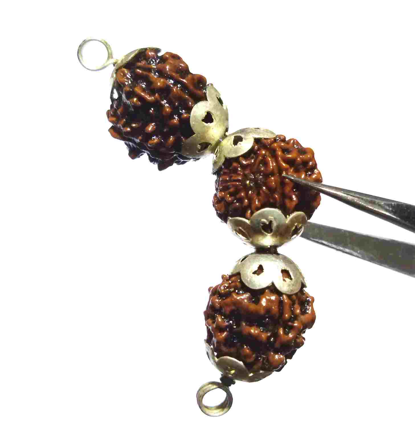 Certified Student Rudraksha 4-6-4 Mukhi (Face) in Silver Cap – Omjaa