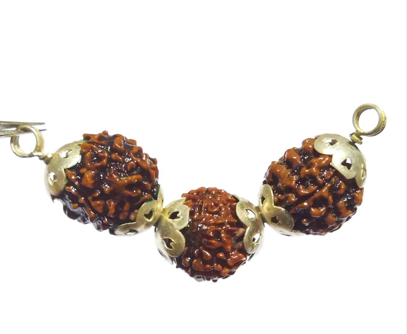 Certified Student Rudraksha 4-6-4 Mukhi (Face) in Silver Cap – Omjaa